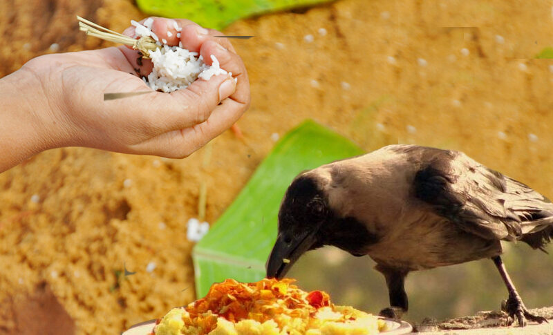 Pitru Paksha 2022: Here Is The List of Shradh Dates & Significance