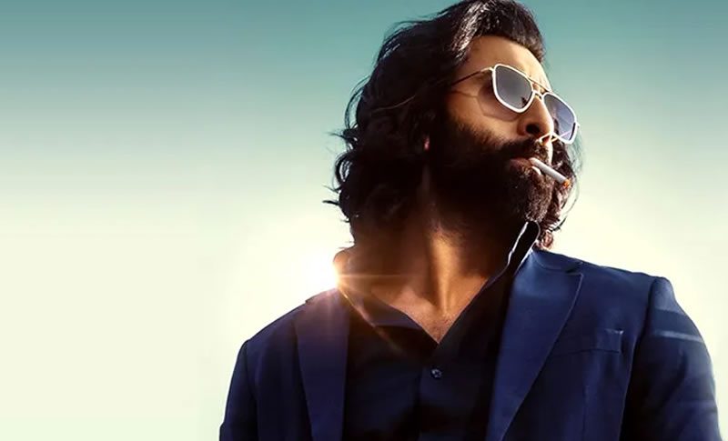 Ranbir Kapoor Confirms 'Animal 3', Reveals Sequel Plans for 'Animal Park'