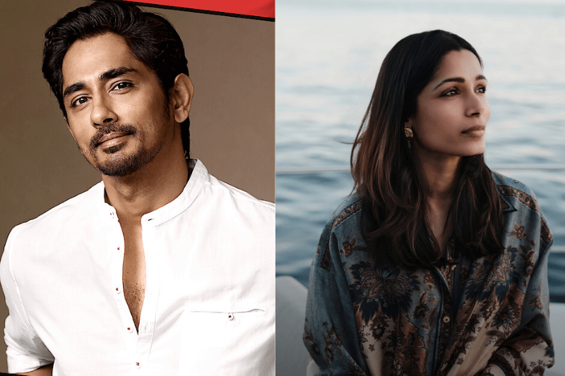 Unaccustomed Earth Netflix Series with Freida Pinto